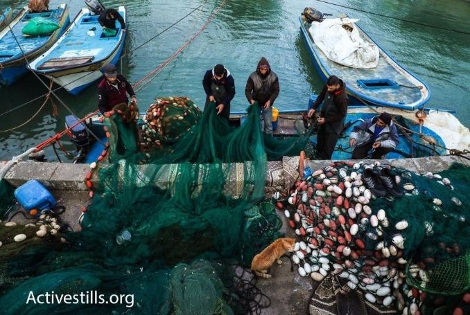 ‘Dying to Fish’: How Israeli Piracy Destroyed Gaza’s Once Thriving ...