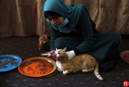 Maryam’s Wish for the Homeless Cats of Gaza (PHOTOS) - Palestine Chronicle