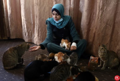 Maryam’s Wish for the Homeless Cats of Gaza (PHOTOS) - Palestine Chronicle