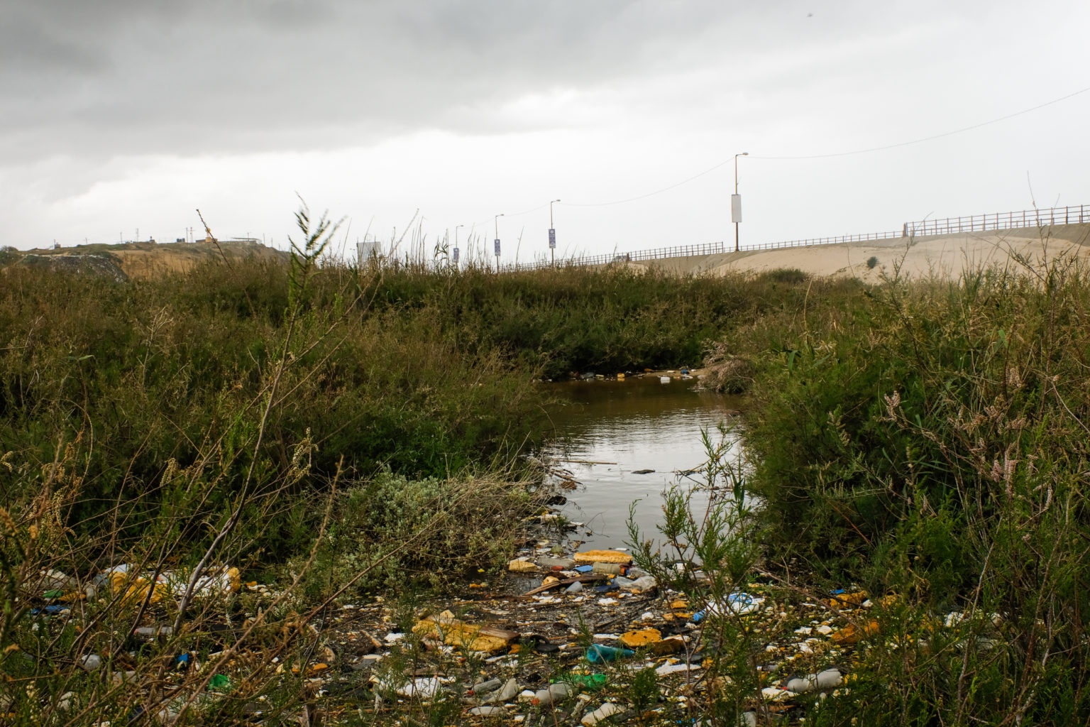 Gaza’s Only Wetlands: Breathtaking Images from the Gaza Valley ...