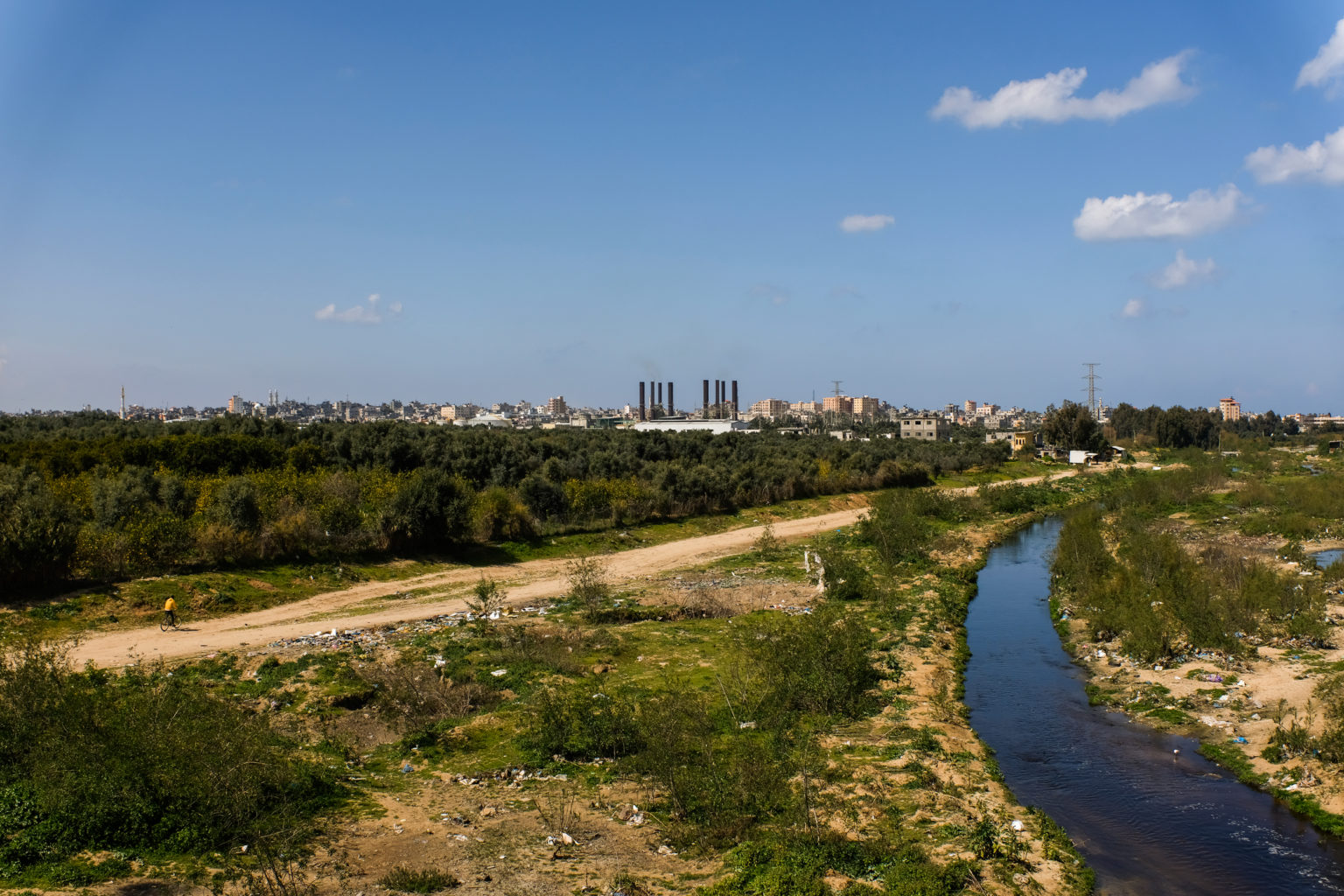 Gaza’s Only Wetlands: Breathtaking Images from the Gaza Valley ...