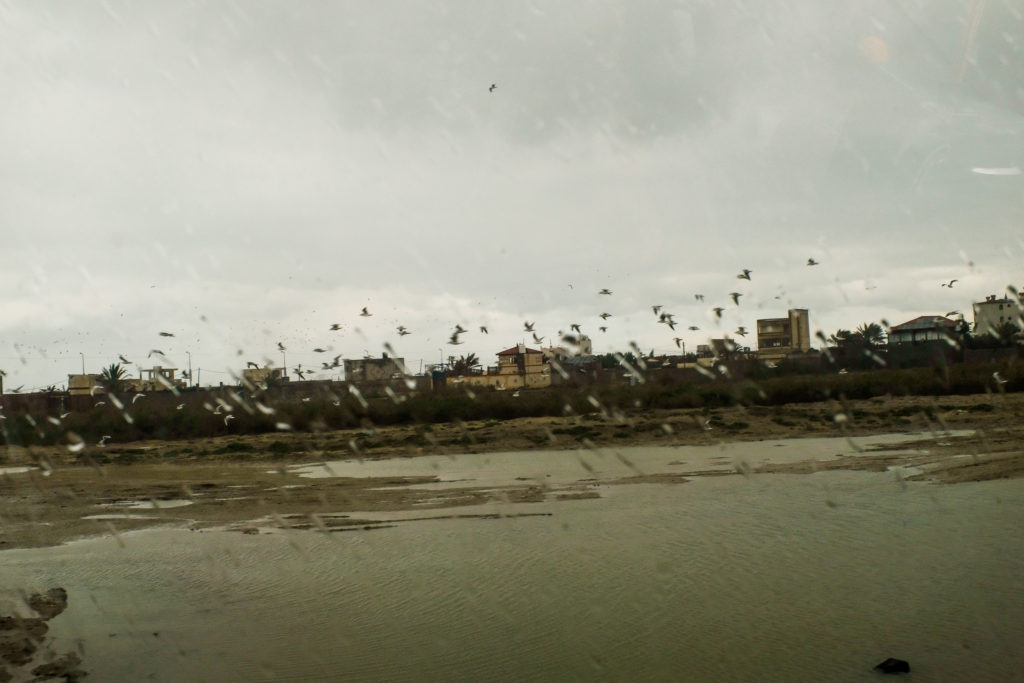 Gaza’s Only Wetlands: Breathtaking Images from the Gaza Valley ...