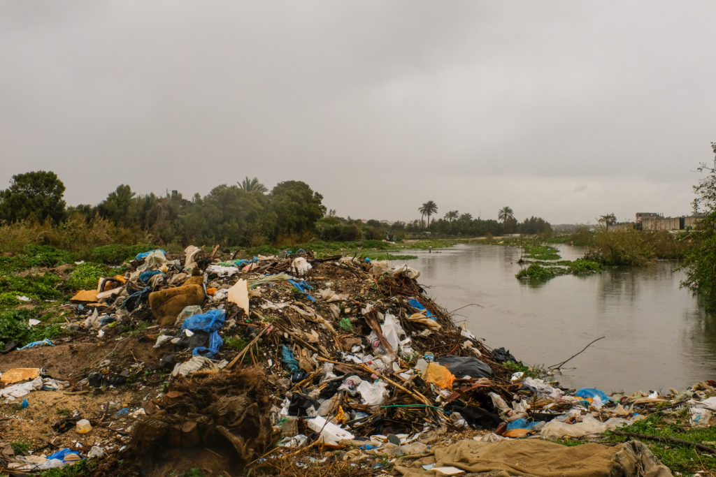 Gaza’s Only Wetlands: Breathtaking Images from the Gaza Valley ...