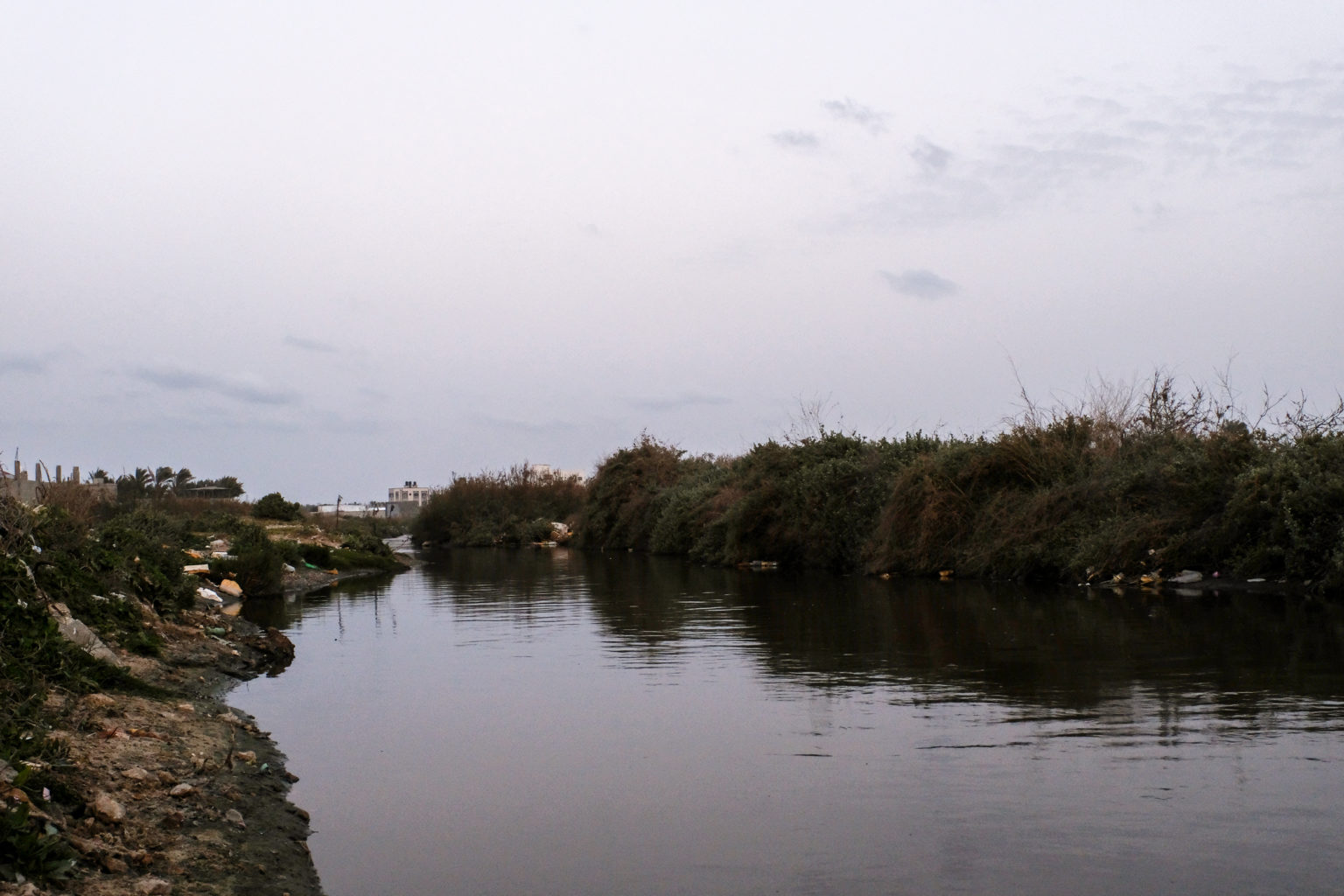 Gaza’s Only Wetlands: Breathtaking Images from the Gaza Valley ...