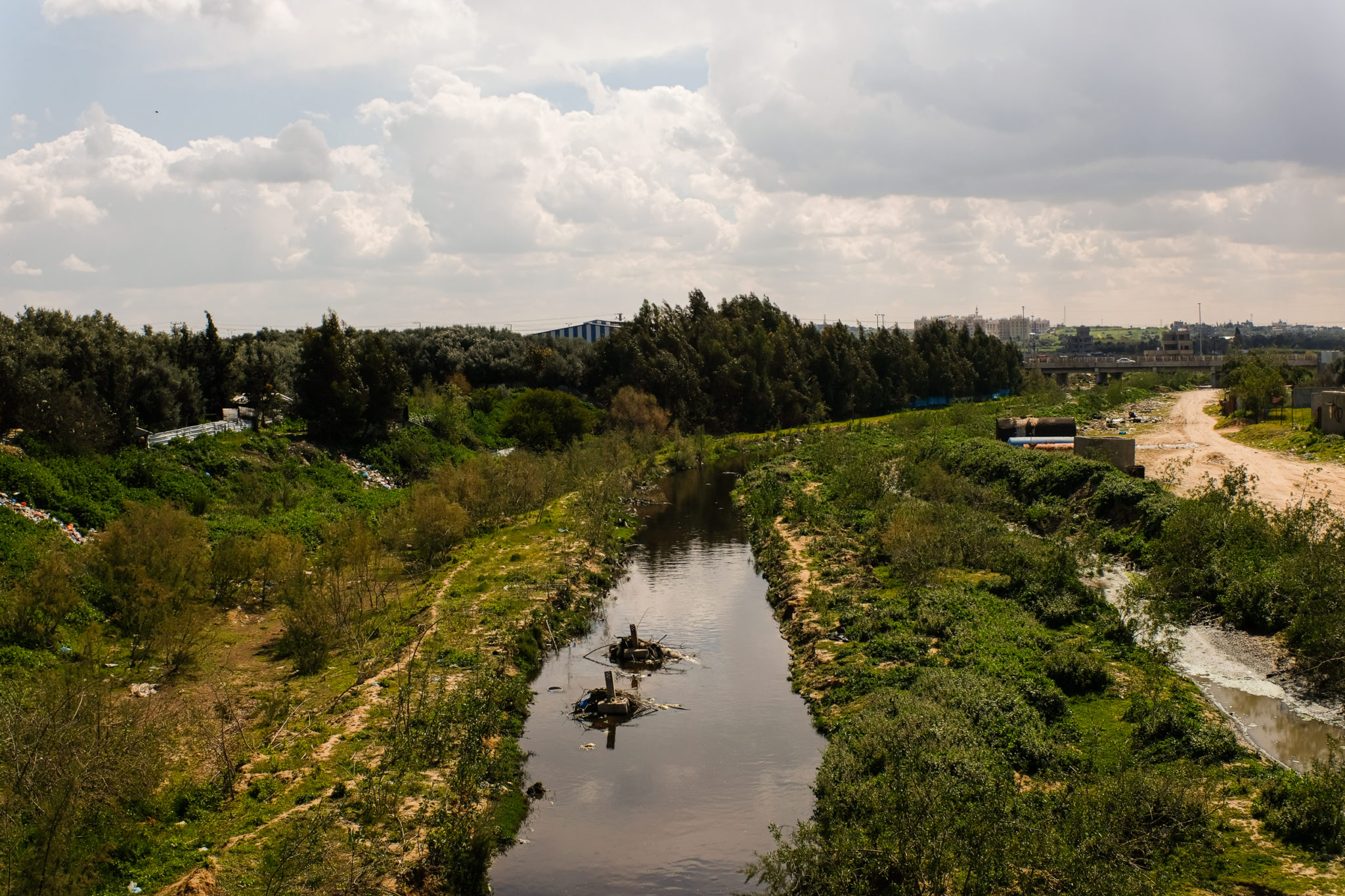 Gaza’s Only Wetlands: Breathtaking Images from the Gaza Valley ...
