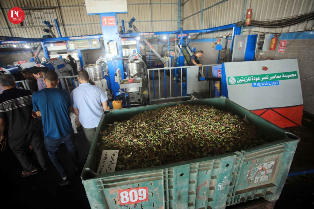 IN PHOTOS: Gaza’s Largest Olive Oil Press Machine - Palestine Chronicle