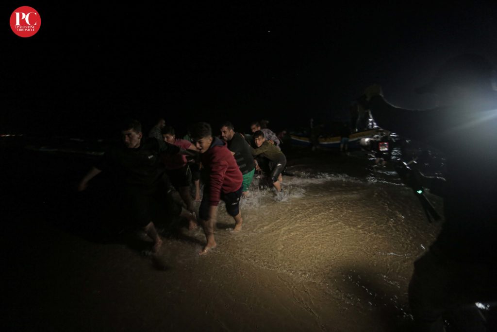 Incredible Photos of Bat Rays Fishing in Gaza - Palestine Chronicle