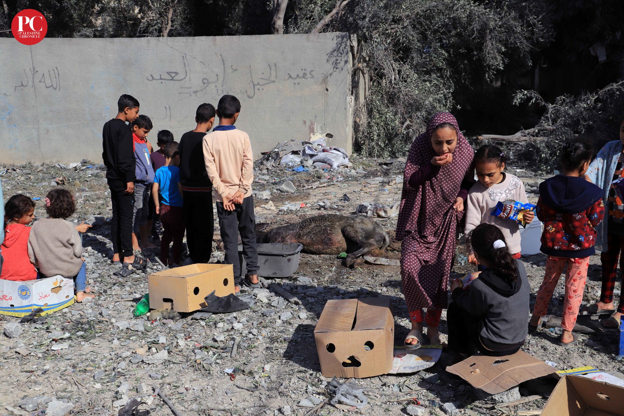 Lives Ruined: Photos of Palestinians and Their Destroyed Homes in the ...