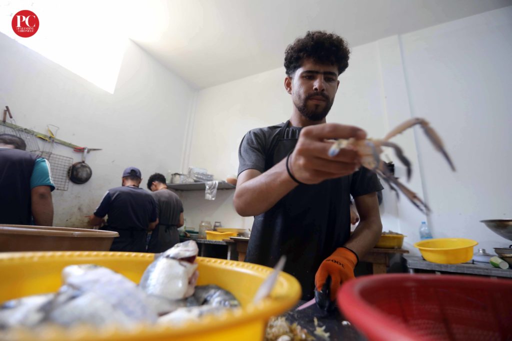 ‘Twin Fish and Kitchen’: Identical Palestinian Twins Keeping the Faith ...