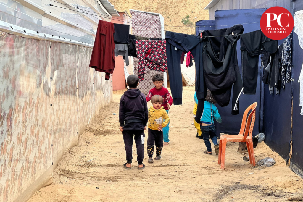 Welcome to Rafah, City of Refugees - PHOTOS & VIDEO - Palestine Chronicle