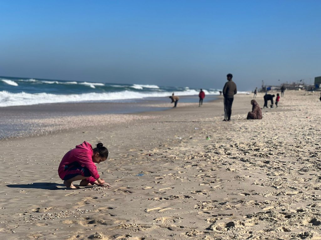 ‘This Sea is Our Sea’ - Palestine Chronicle Joins Displaced Gazans at ...