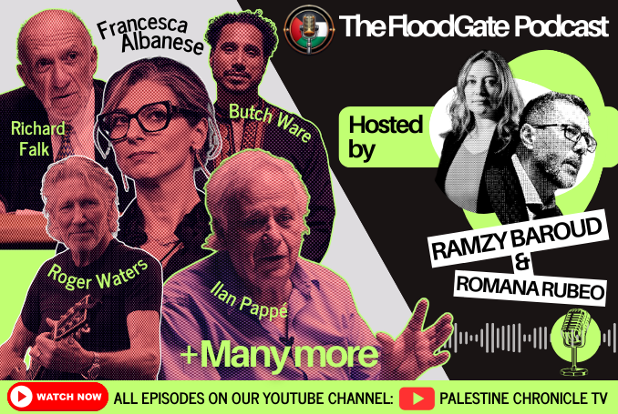 Gaza’s Youngest Storyteller - Who is Lama Abu Jamous? - Palestine Chronicle