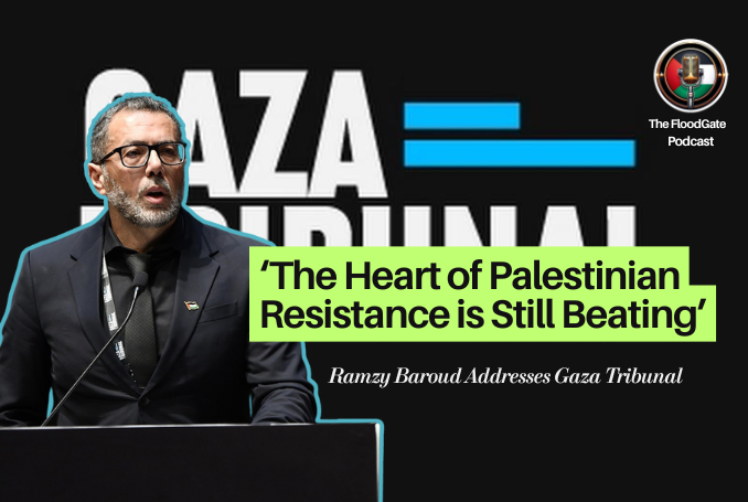 Palestinian Population Census Published: These Are the Numbers ...