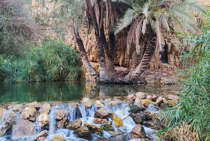 The Water War in Al-Auja: How Illegal Settlers are Strangling Jericho’s ...