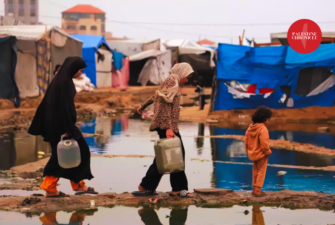 Israeli Fire Kills Palestinian Teen, Injures Others in Gaza Despite ...