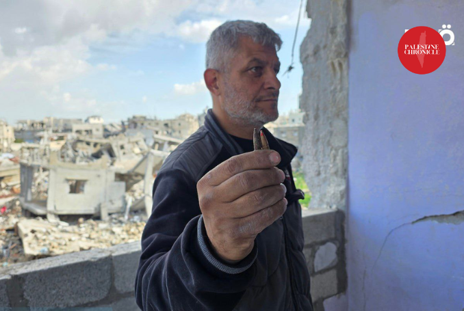 Seven Palestinians Killed in Gaza as Israel Logs Over 1,200 Ceasefire ...