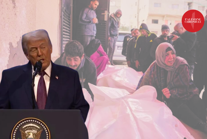 Trump Launches ‘Board of Peace’ in Davos as Gaza Remains under Fire and ...