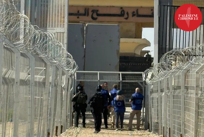 Rafah Reopens—Who Is Really Allowed to Leave Gaza? - Palestine Chronicle