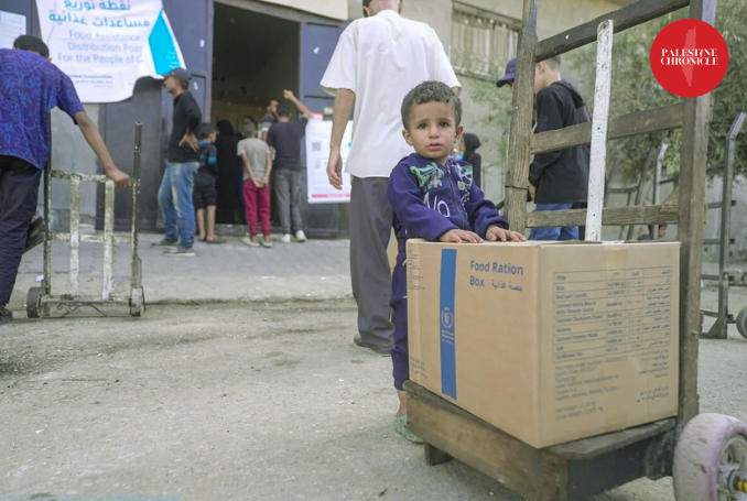 Six Months after Ceasefire, Gaza Faces Renewed Famine Threat - HRW ...