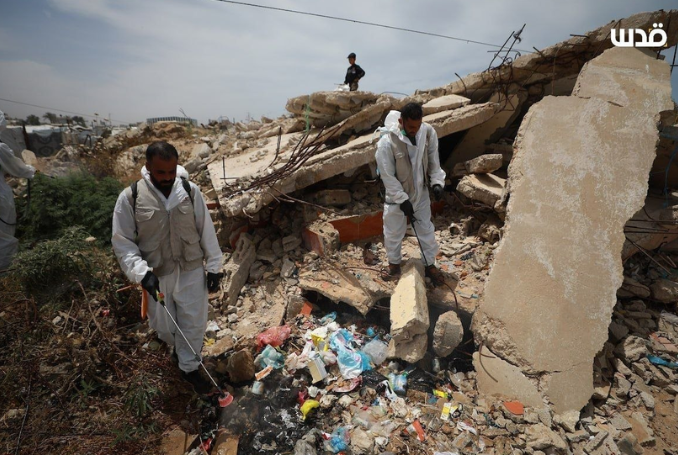 The Palestine Industry: The Rats of Gaza and the Opportunists among Us ...
